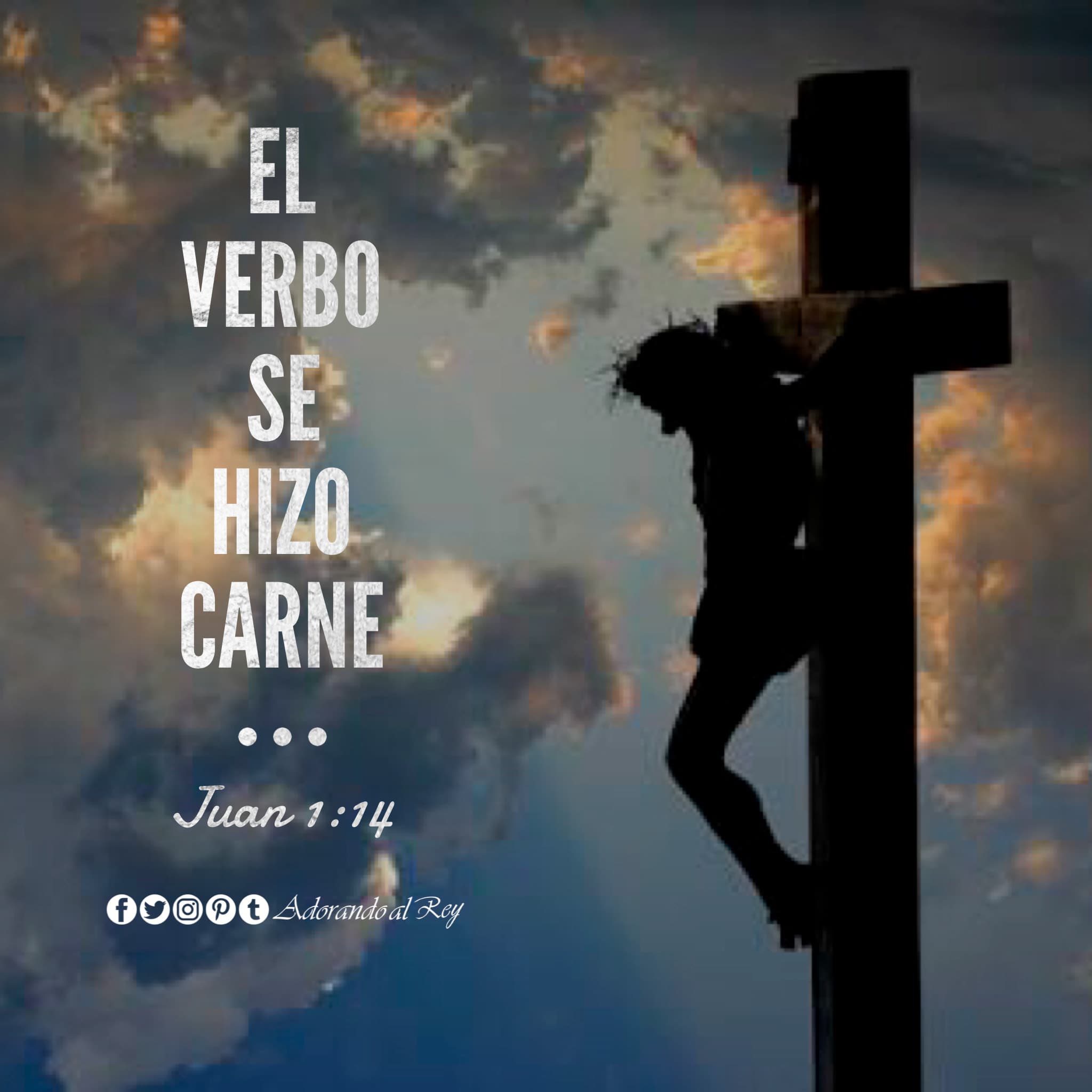 Adorando Al Rey Juan 1 14